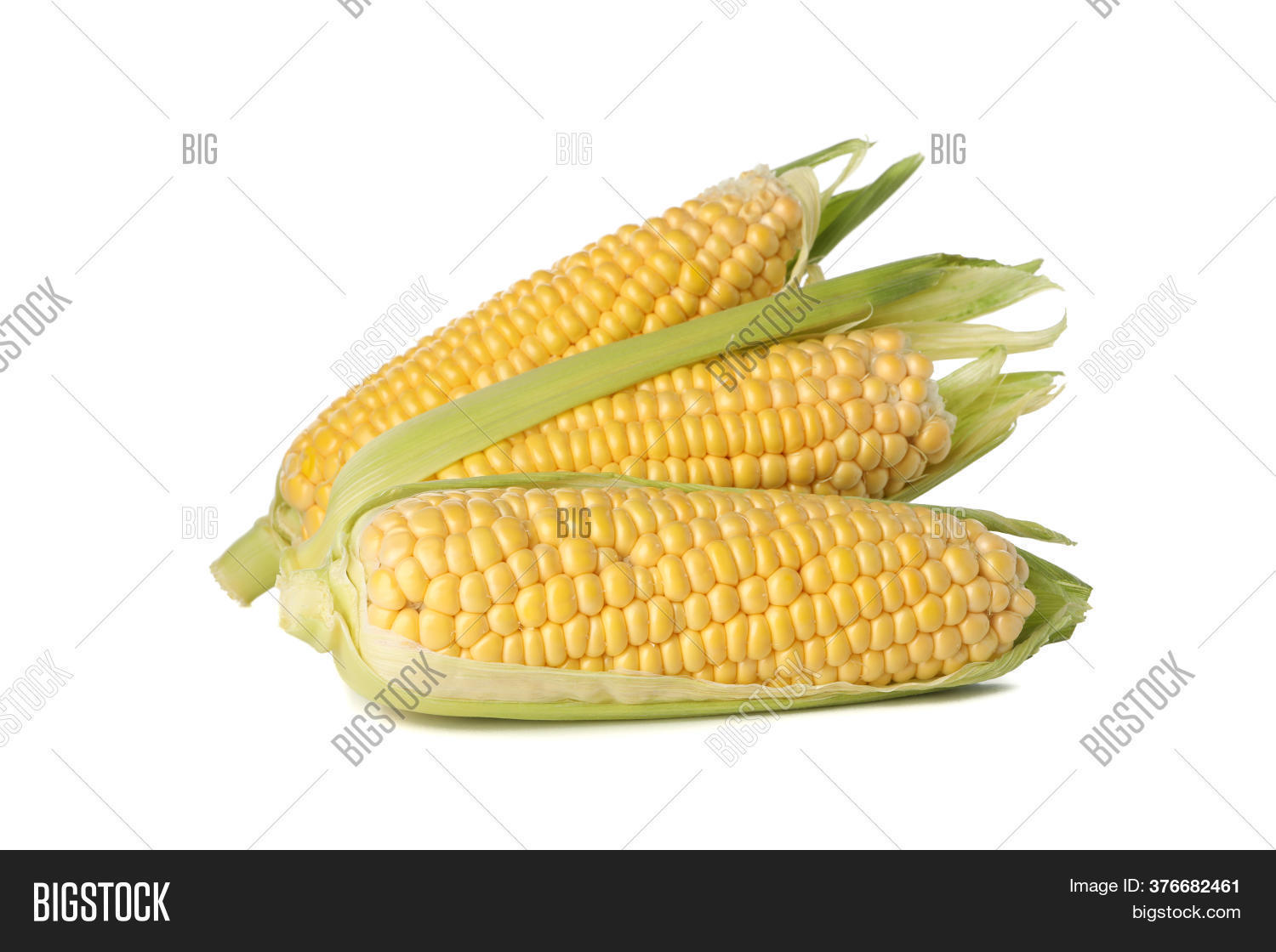 Fresh Raw Corn Image & Photo (Free Trial) | Bigstock