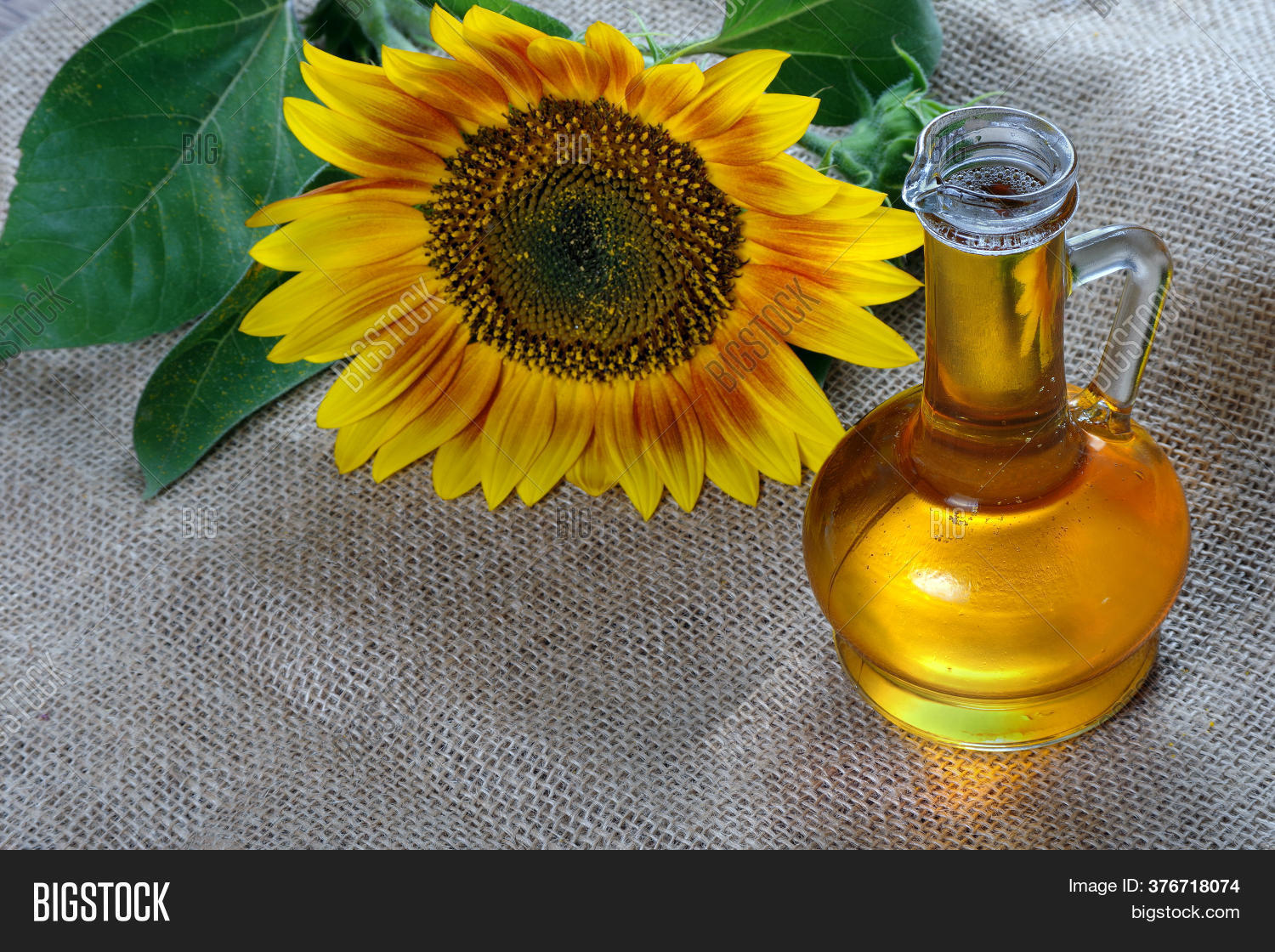 Sunflower Oil Image & Photo (Free Trial) | Bigstock