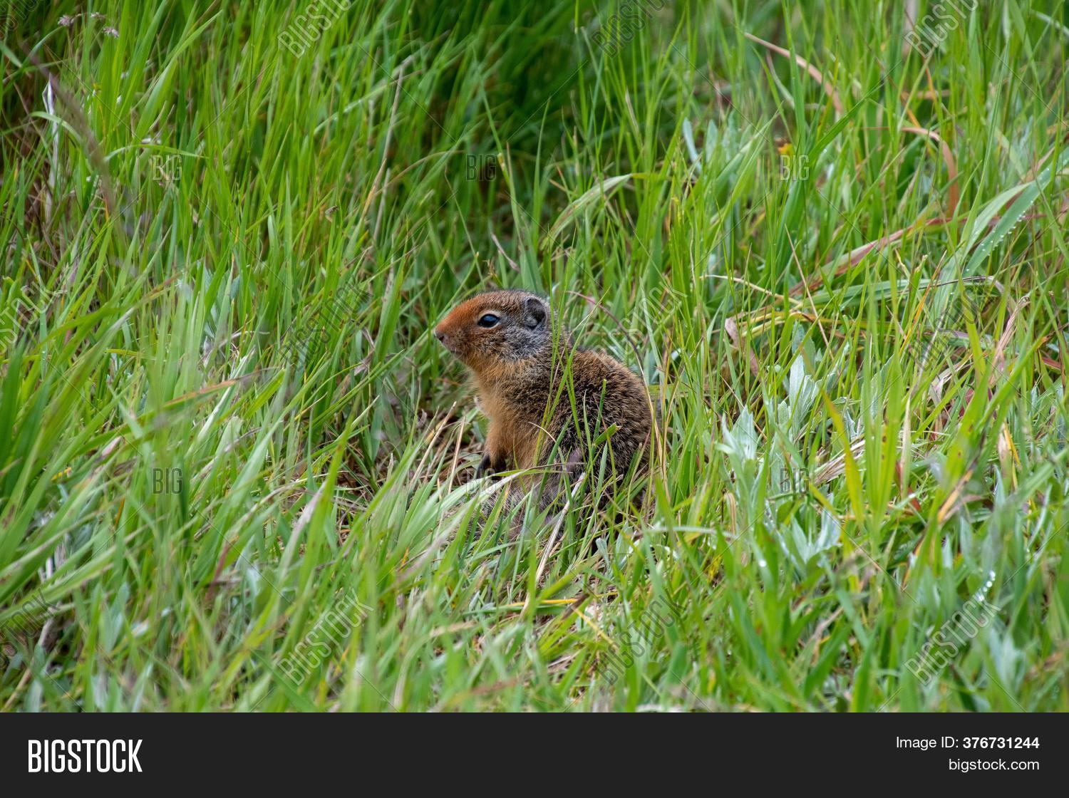 Columbia Ground Image & Photo (Free Trial) | Bigstock