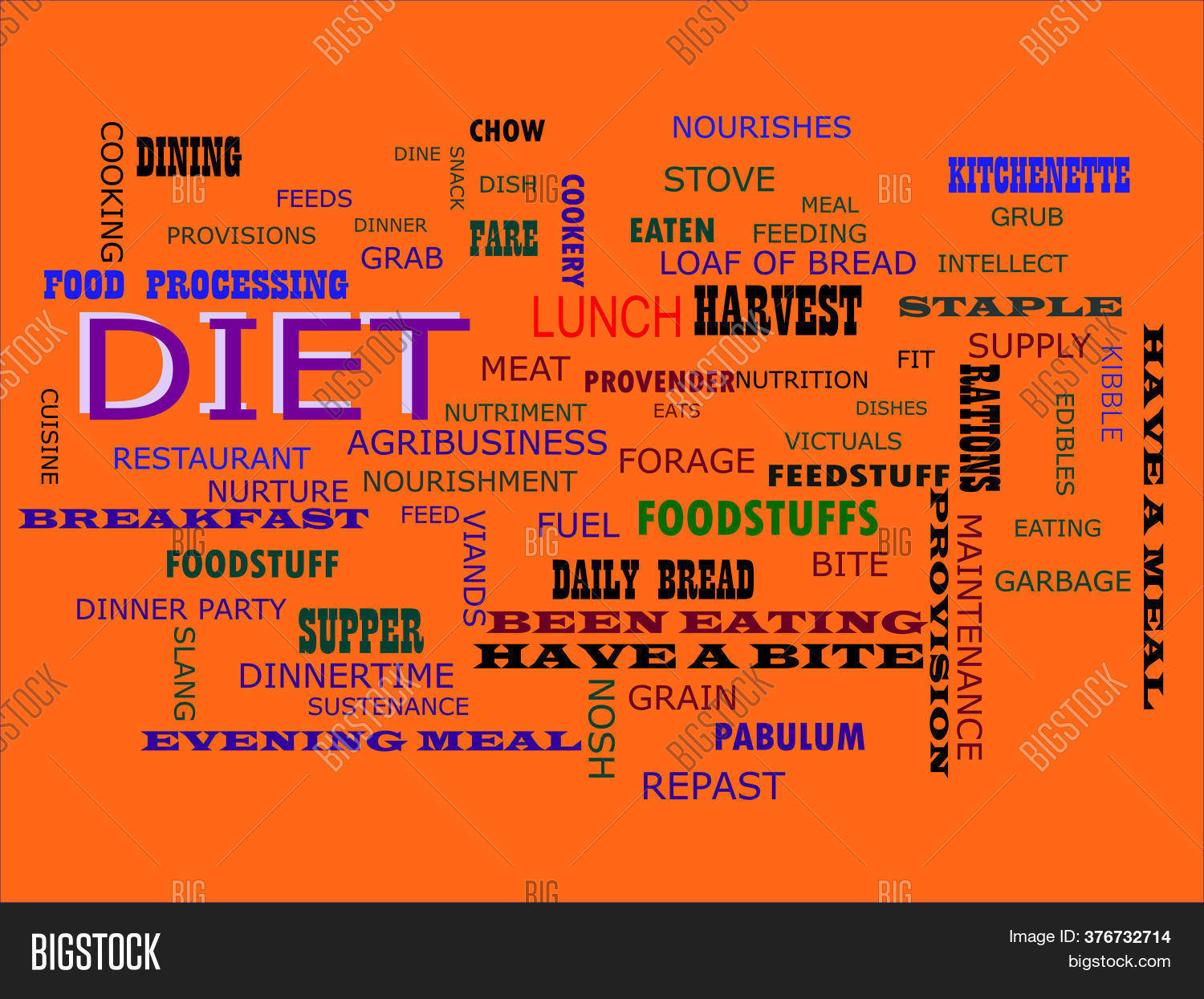 Diet Human Body Vector & Photo (Free Trial) | Bigstock