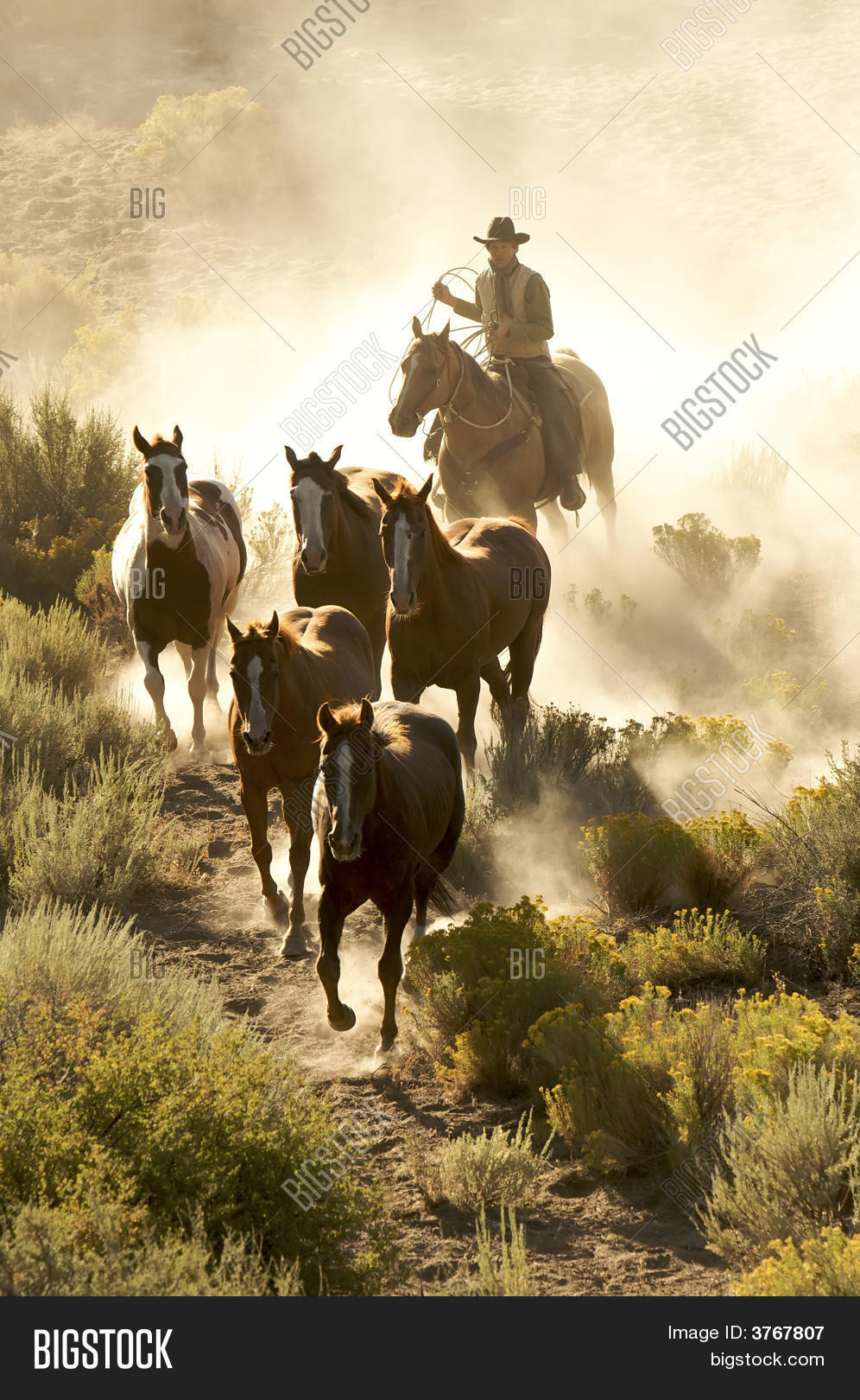 Cowboy Following His Image & Photo (Free Trial) | Bigstock