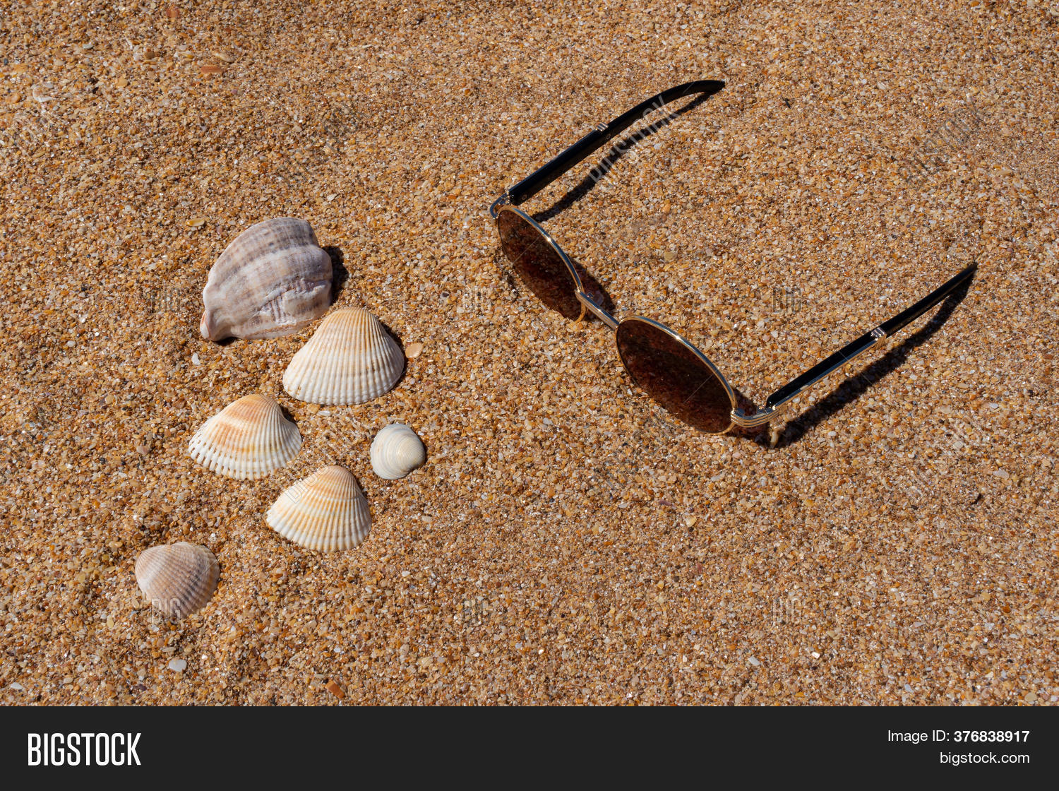 Seashell Sunglasses On Image & Photo (Free Trial) | Bigstock