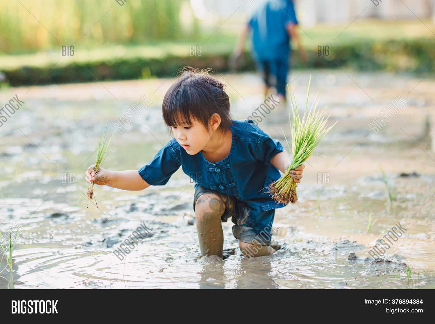 Asian Kid Planting Image & Photo (Free Trial) | Bigstock