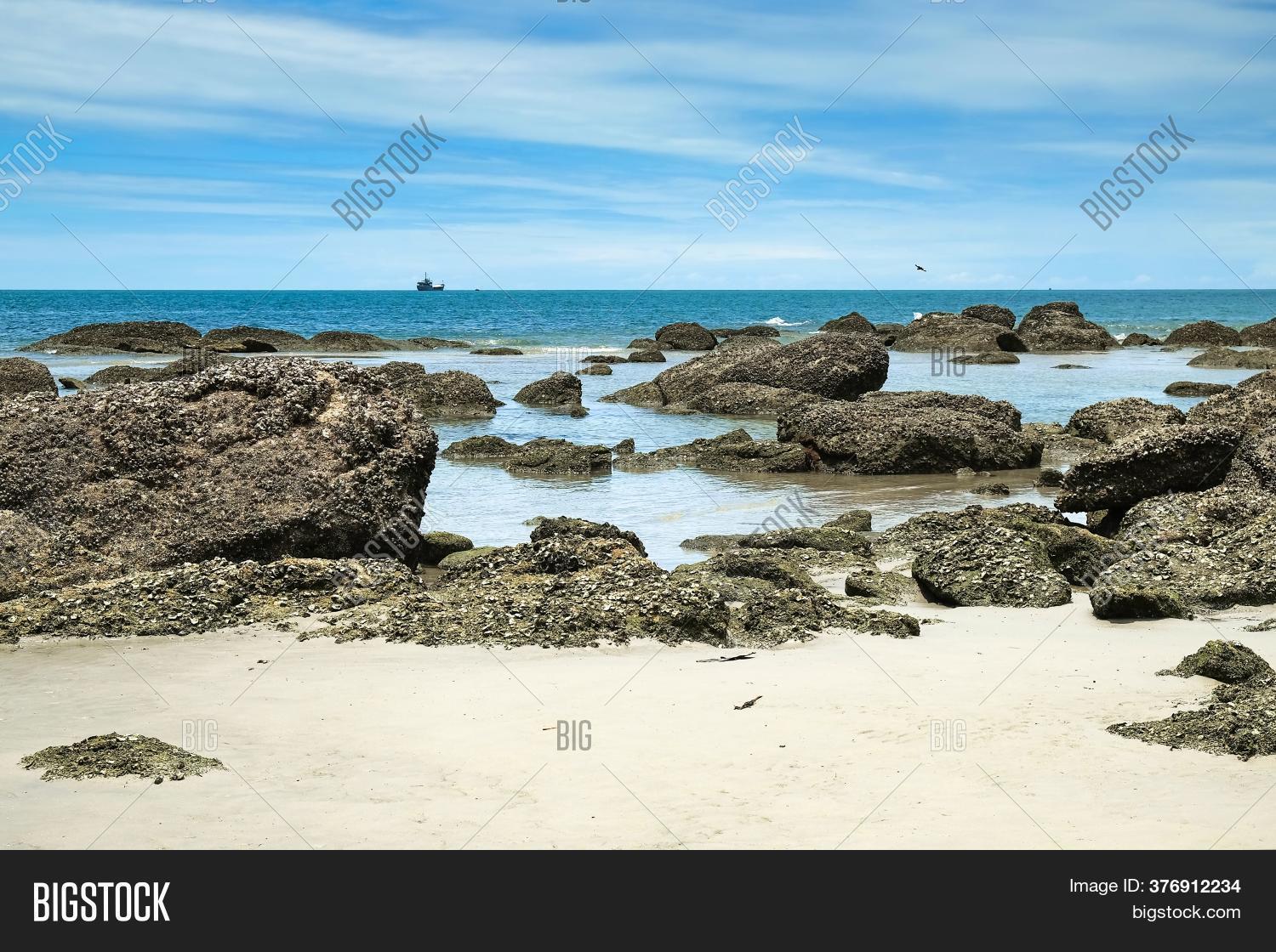 Scenic Ocean View Wild Image & Photo (Free Trial) | Bigstock