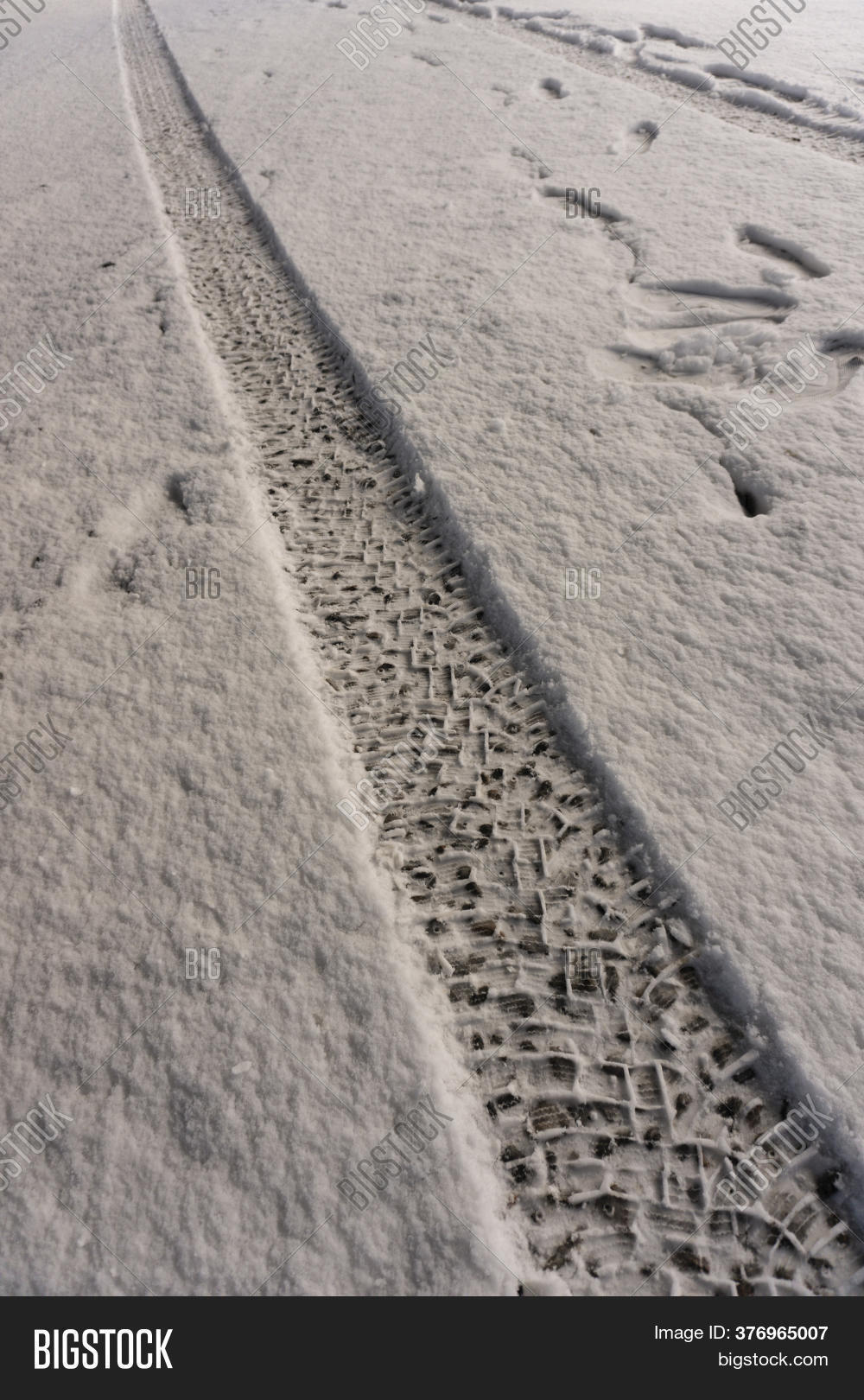 Tread Marks On Fresh Image & Photo (Free Trial) | Bigstock