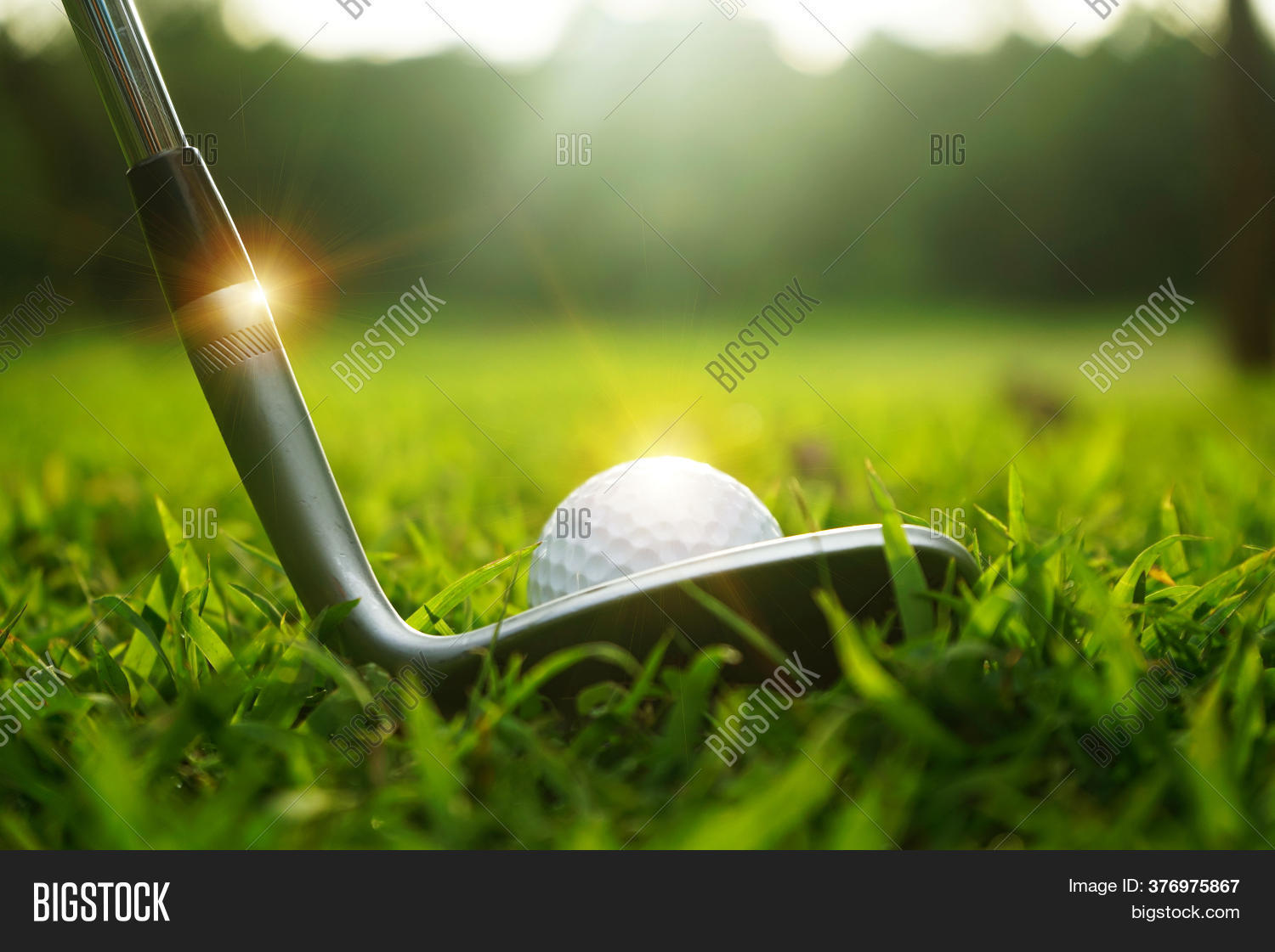 Blurred Golf Ball Golf Image & Photo (Free Trial) | Bigstock