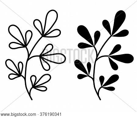 Botany. Vector Vector & Photo (Free Trial) | Bigstock