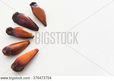 Pinhao - Pinion Fruit Image & Photo (Free Trial) | Bigstock