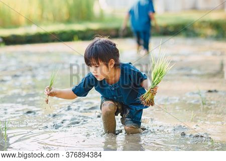 Asian Kid Planting Image & Photo (Free Trial) | Bigstock