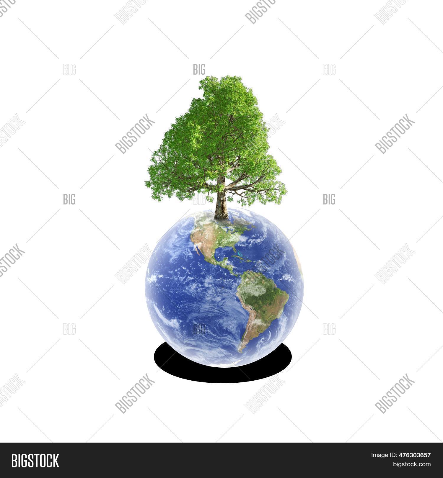 Earth Globe Tree. Tree Image & Photo (Free Trial) | Bigstock
