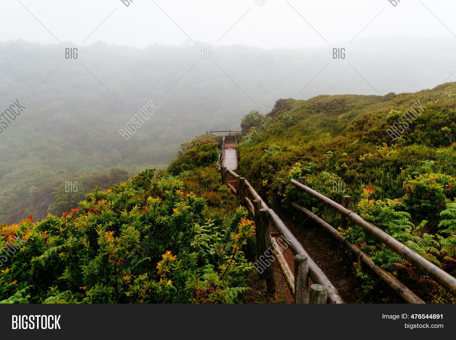 Pathway Through Furnas Image & Photo (Free Trial) | Bigstock