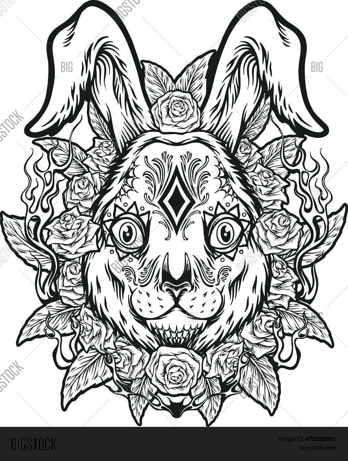 Dead Sugar Rabbit Vector & Photo (Free Trial) | Bigstock