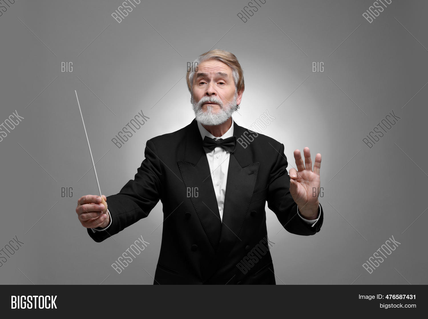 Professional Conductor Image & Photo (Free Trial) | Bigstock