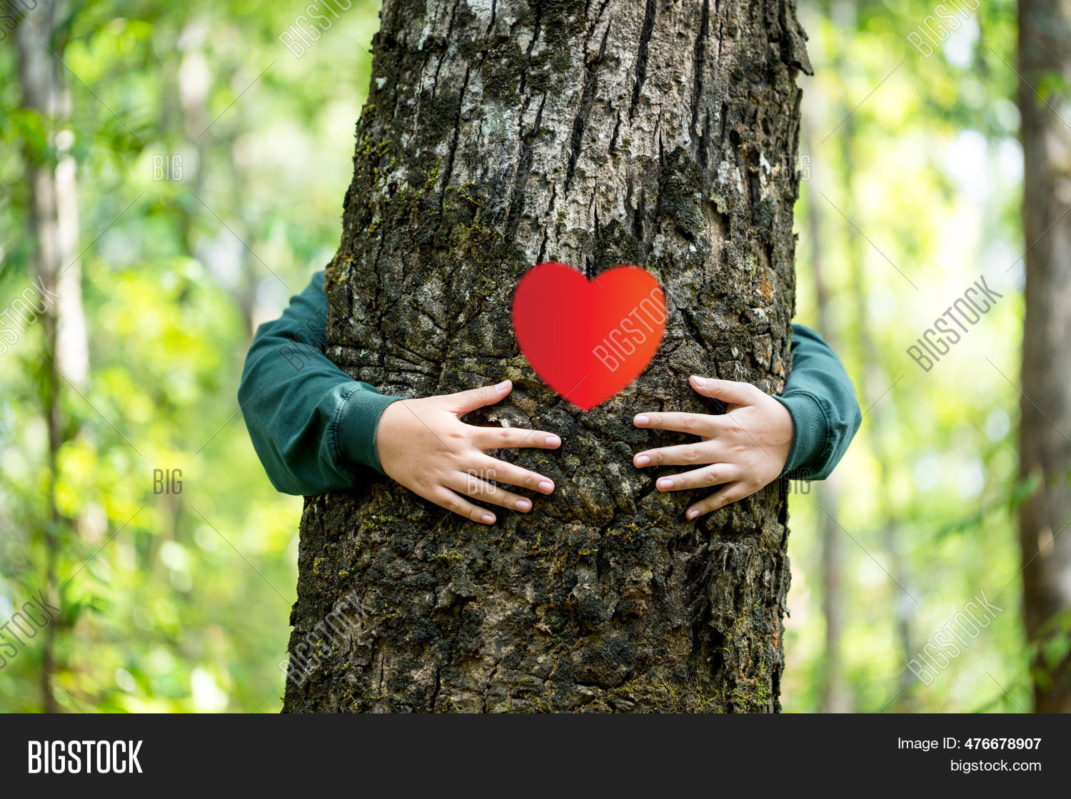 Hands Hugging Trees On Image & Photo (Free Trial) | Bigstock