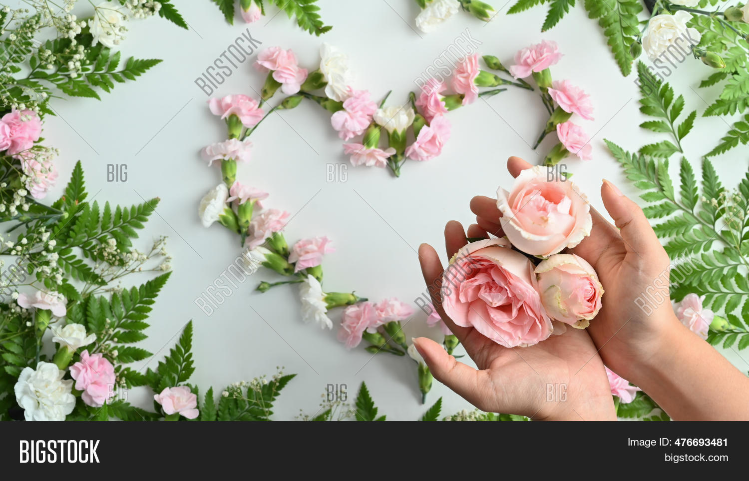 Hands Holding Pink Image & Photo (Free Trial) | Bigstock