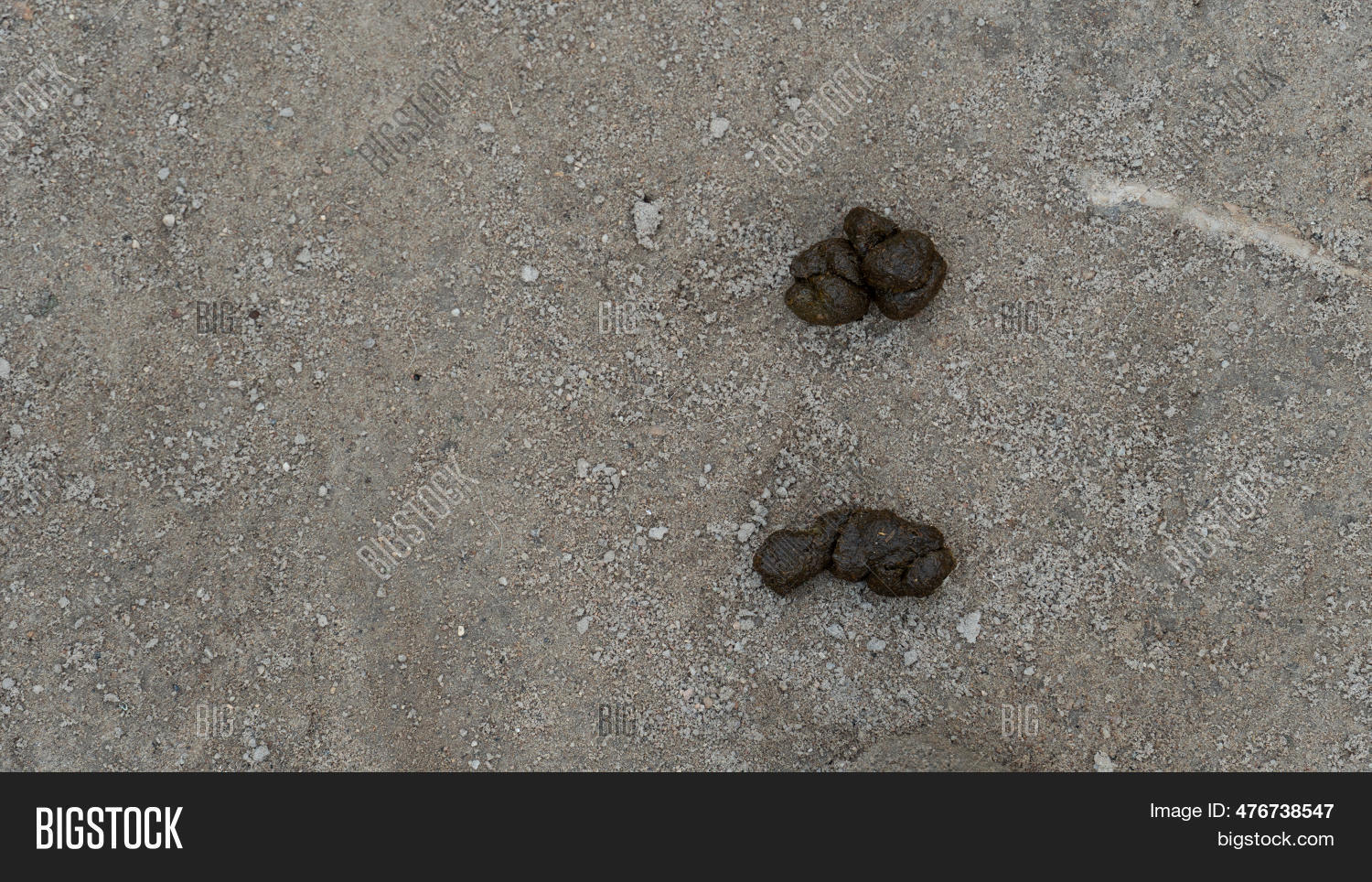 Above Animal Feces On Image & Photo (Free Trial) | Bigstock