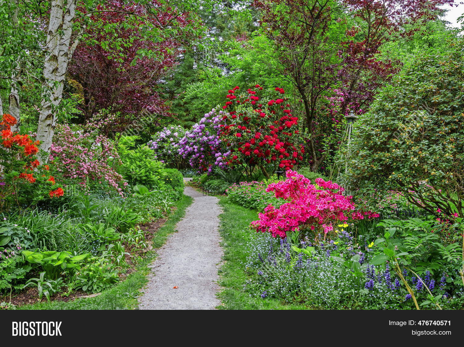 Walking Path Paulik Image & Photo (Free Trial) | Bigstock