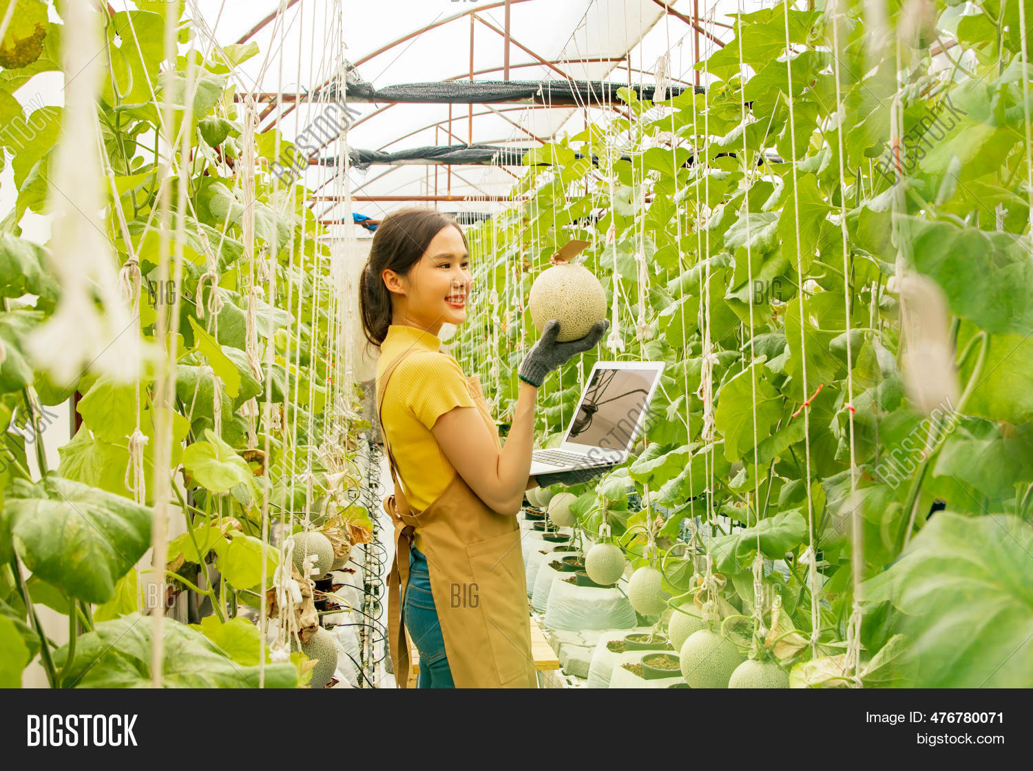 Young Asian Female Image & Photo (Free Trial) | Bigstock