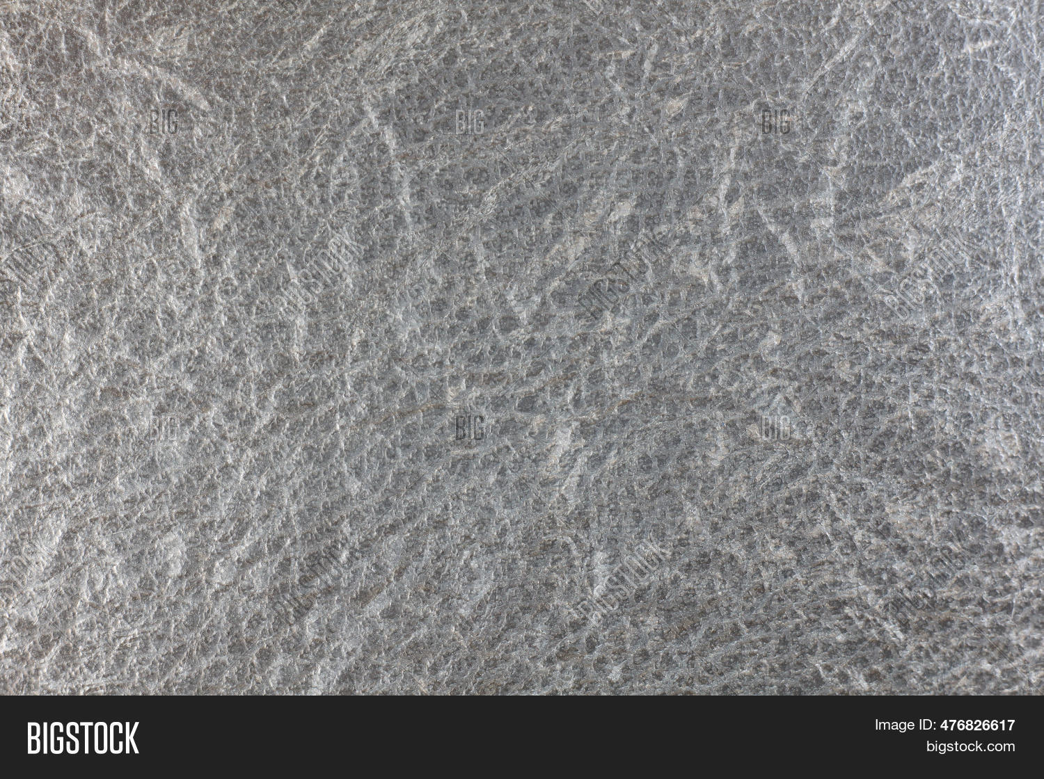 Beautiful Grey Image & Photo (Free Trial) | Bigstock