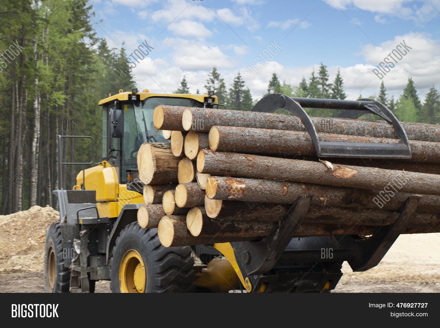 Loading Logs Special Image & Photo (Free Trial) | Bigstock