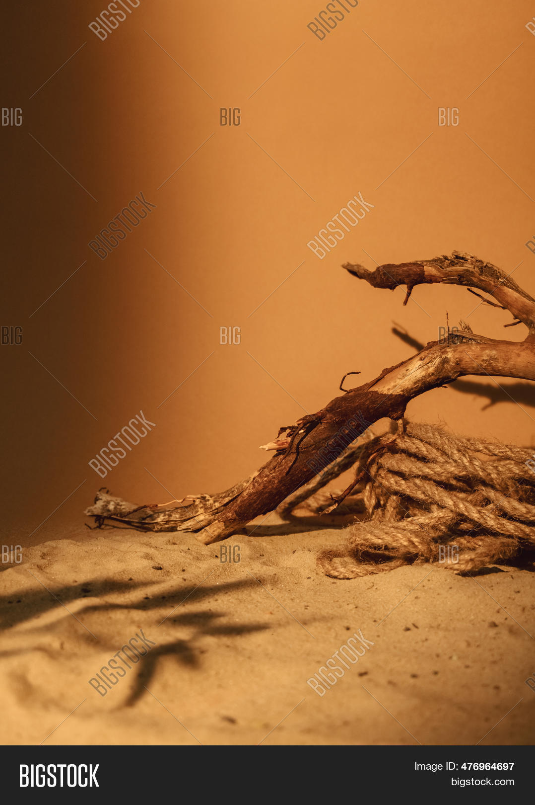 Nature Showcase. Sand Image & Photo (Free Trial) | Bigstock