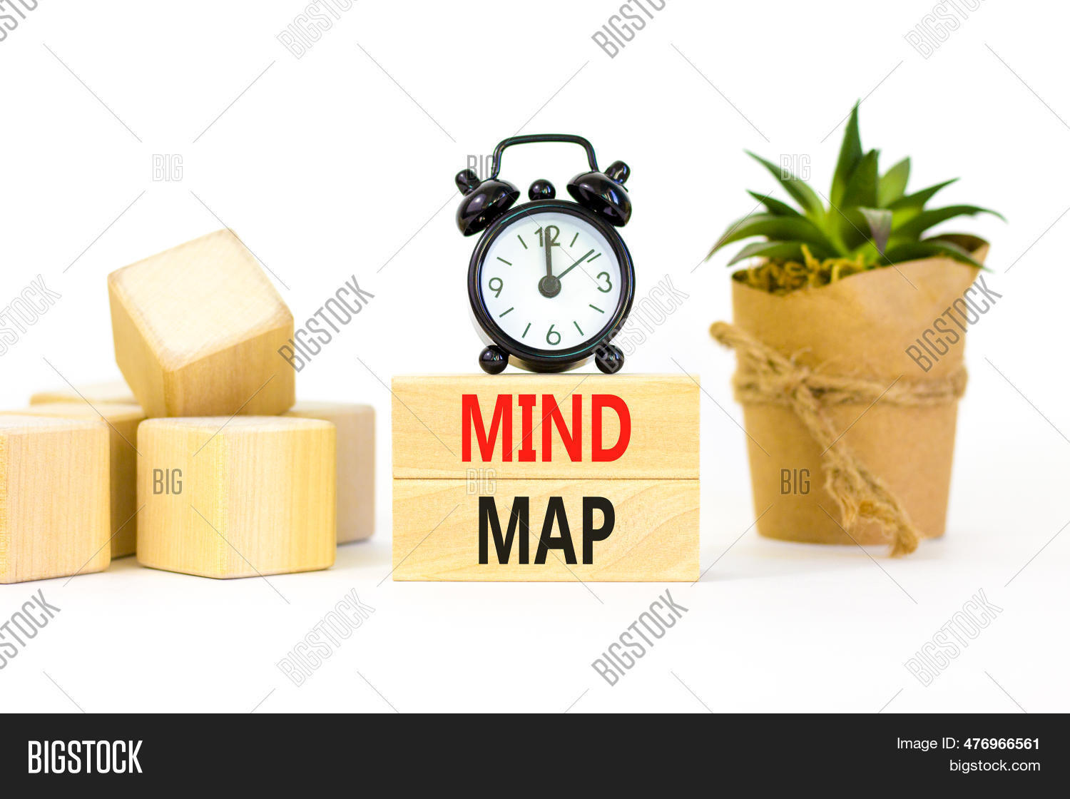 Mind Map Symbol. Image & Photo (Free Trial) | Bigstock