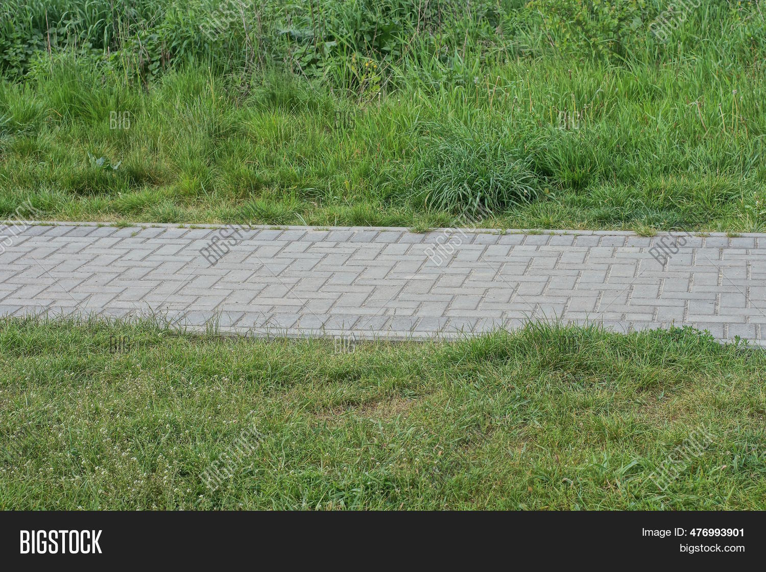 Part Long Alley Gray Image & Photo (Free Trial) | Bigstock