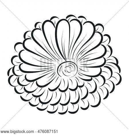 Simple Flower Outline Images, Illustrations & Vectors (Free) - Bigstock