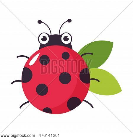 View Above Cute Vector & Photo (Free Trial) | Bigstock