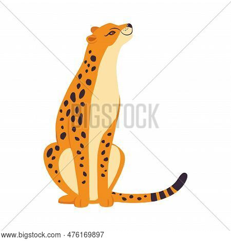 Sitting Leopard Wild Vector & Photo (Free Trial) | Bigstock