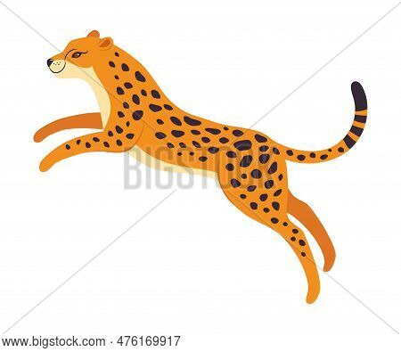 Jumping Leopard Wild Vector & Photo (Free Trial) | Bigstock