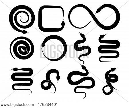 Vector Set Snake Vector & Photo (Free Trial) | Bigstock