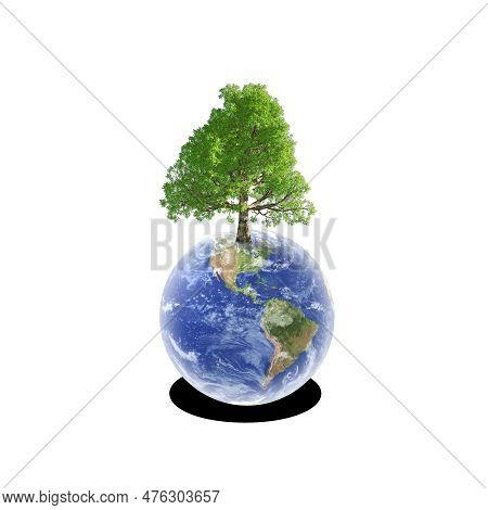 Earth Globe Tree. Tree Image & Photo (Free Trial) | Bigstock