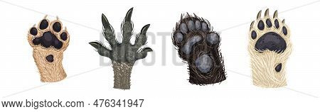 Animal Paw Vector & Photo (Free Trial) | Bigstock
