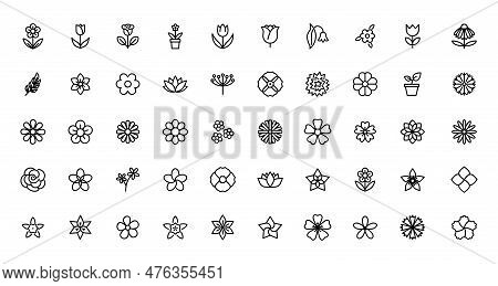 Flowers Icon Set. Vector & Photo (Free Trial) | Bigstock