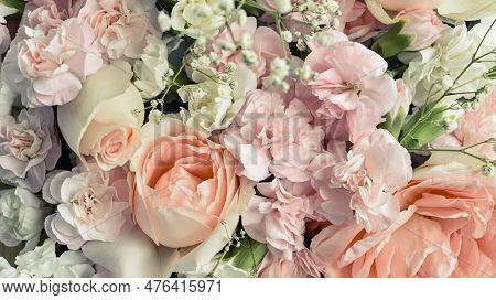 Pastel Colors Flowers Image & Photo (Free Trial) | Bigstock