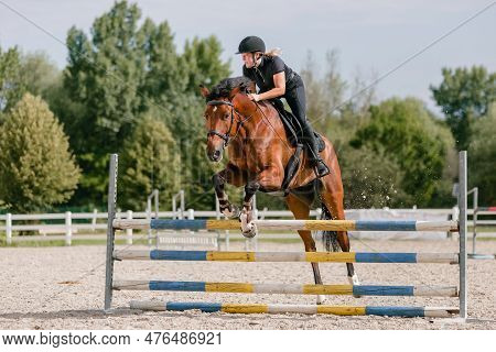 Chestnut Horse, Ridden Image & Photo (Free Trial) | Bigstock