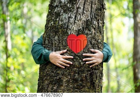 Hands Hugging Trees On Image & Photo (Free Trial) | Bigstock