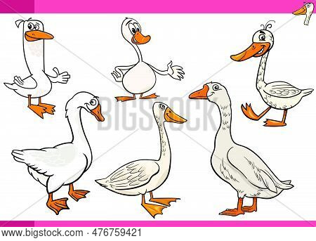 Cartoon Illustration Vector & Photo (Free Trial) | Bigstock