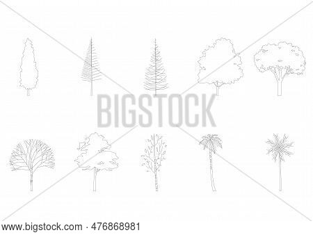 Tree Line Drawing, Vector & Photo (Free Trial) | Bigstock