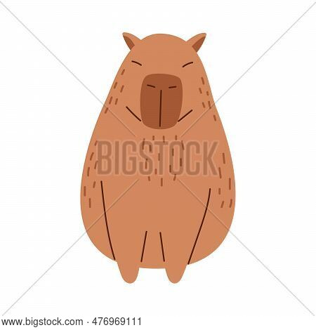 Vector Funny Capybara Vector & Photo (Free Trial) | Bigstock