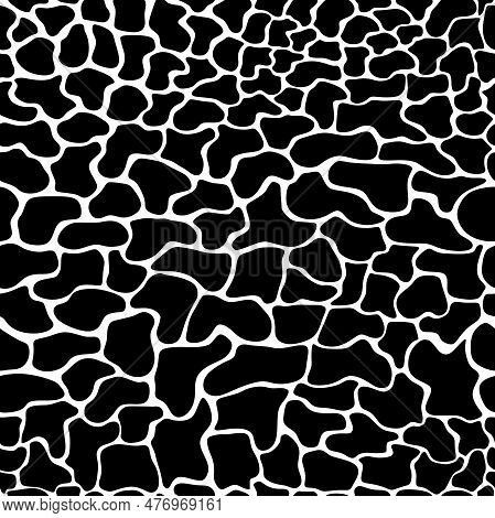 Panda Skin Texture, Vector & Photo (Free Trial) | Bigstock