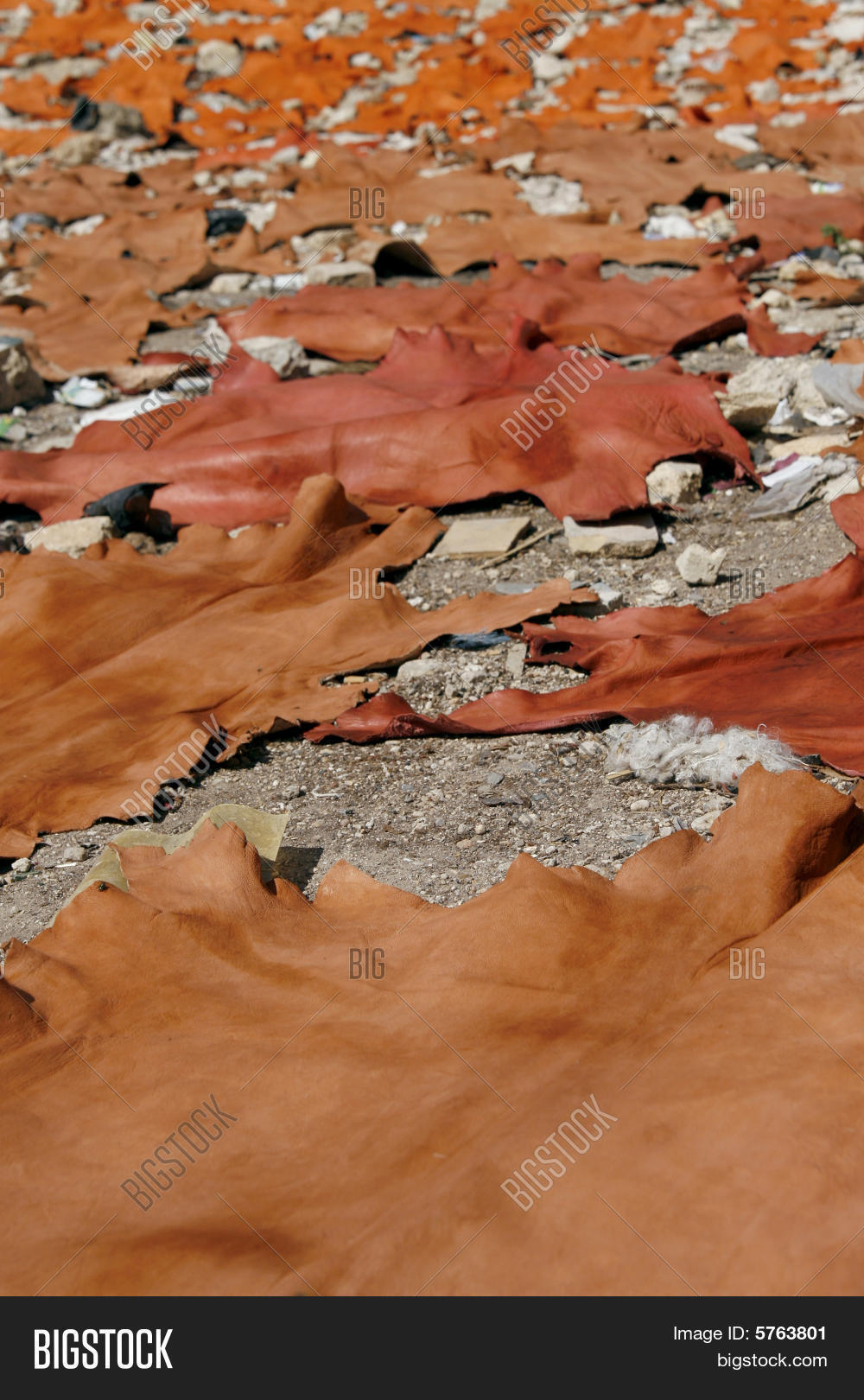 Raw Freshly Colored Image & Photo (Free Trial) | Bigstock