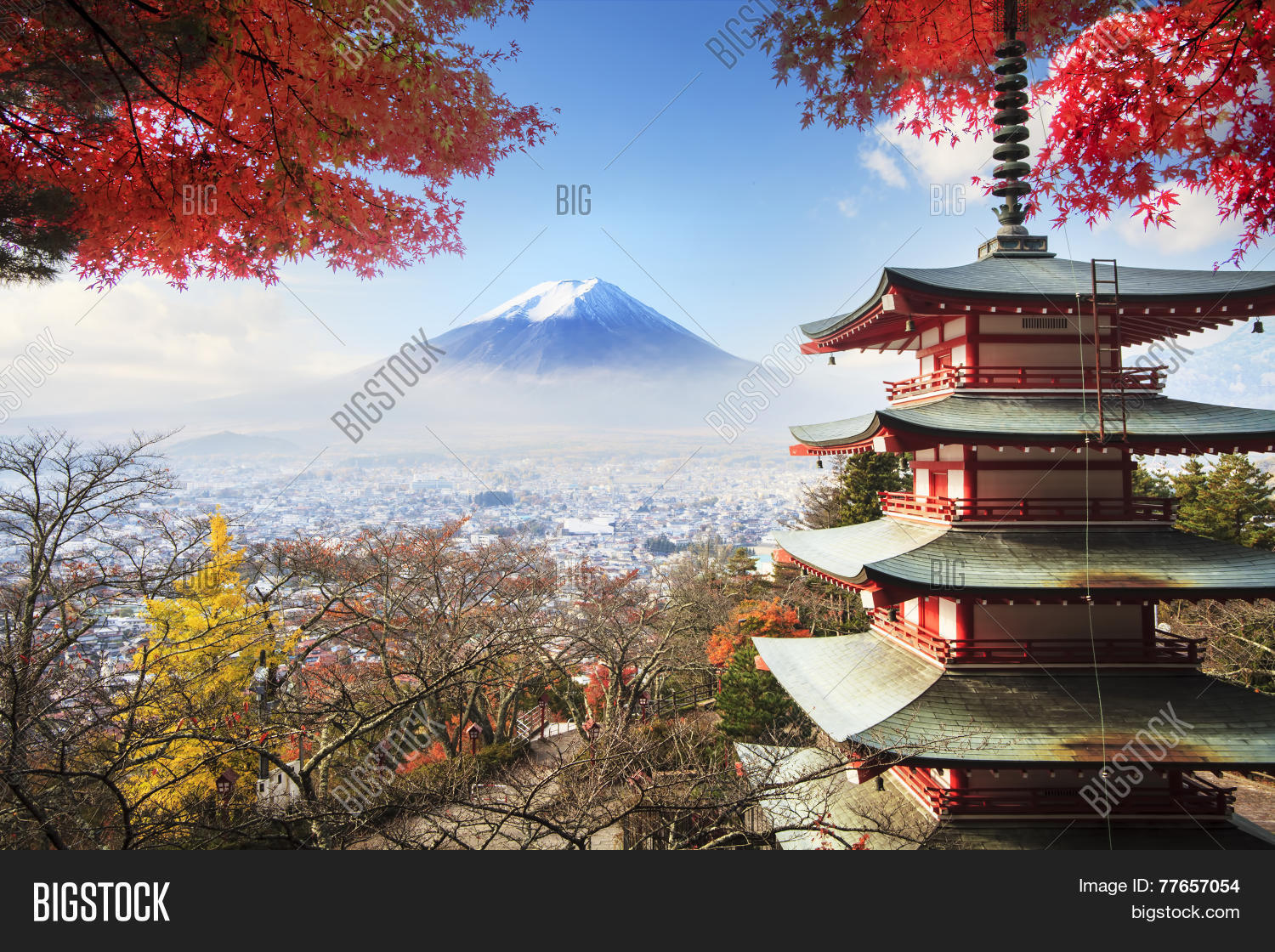 Mt. Fuji Fall Colors Image & Photo (Free Trial) | Bigstock
