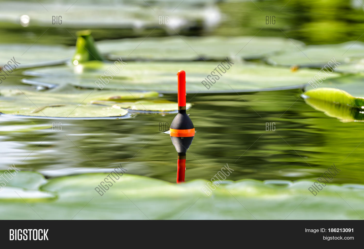 Morning Fishing On Image & Photo (Free Trial) | Bigstock