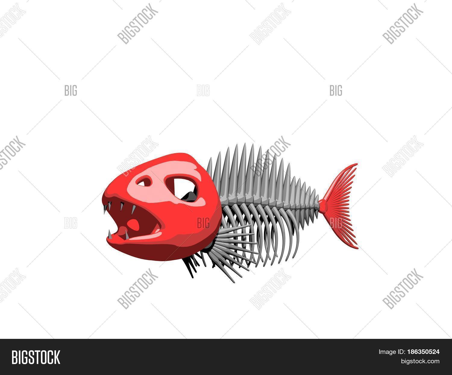 Fish Skeleton. Image & Photo (Free Trial) | Bigstock