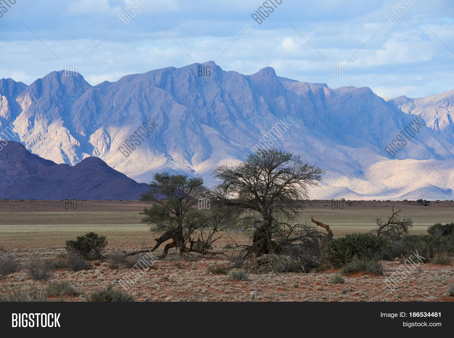 Beautiful Namibia Image & Photo (Free Trial) | Bigstock