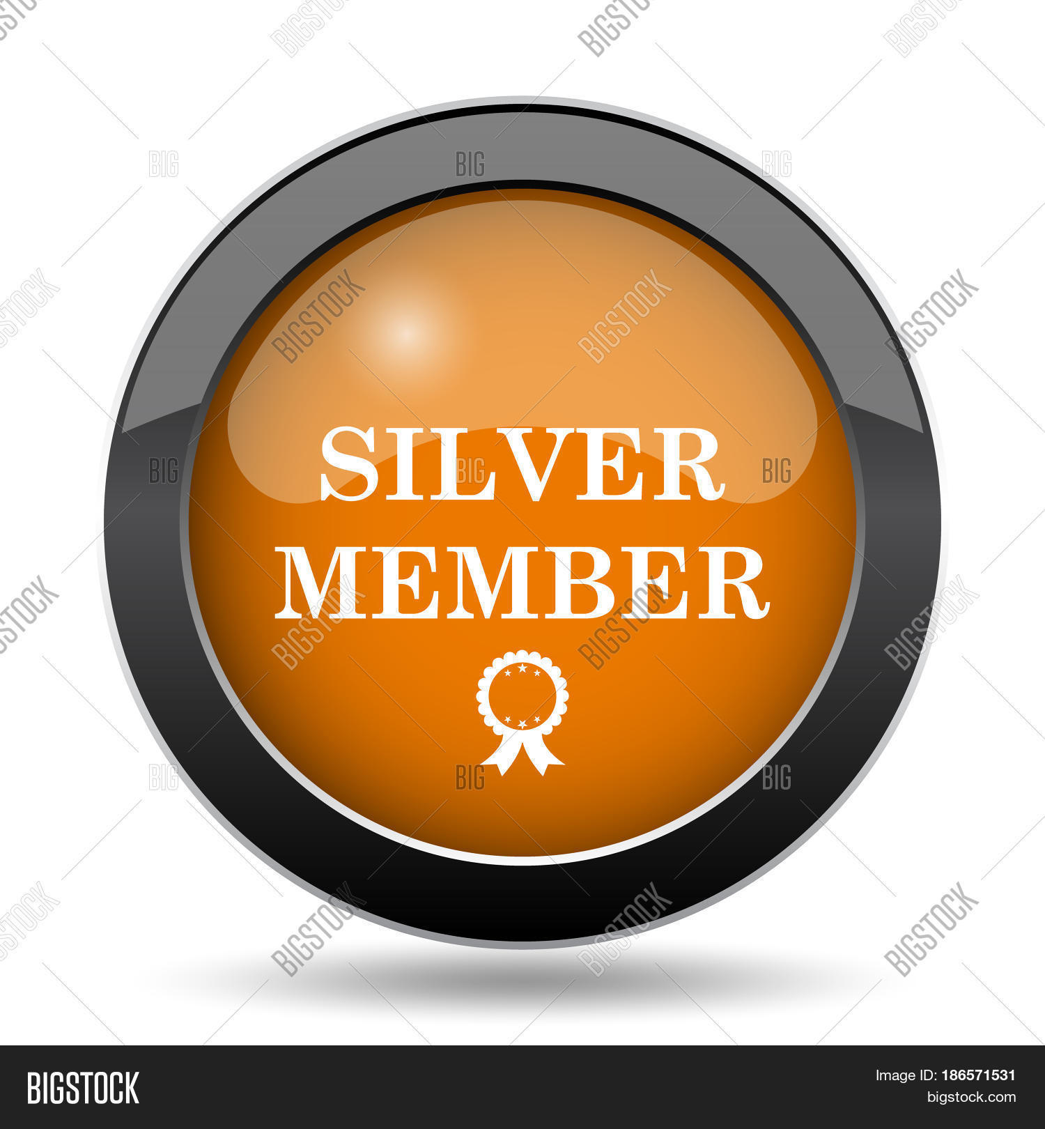 Silver Member Icon Image & Photo (Free Trial) | Bigstock