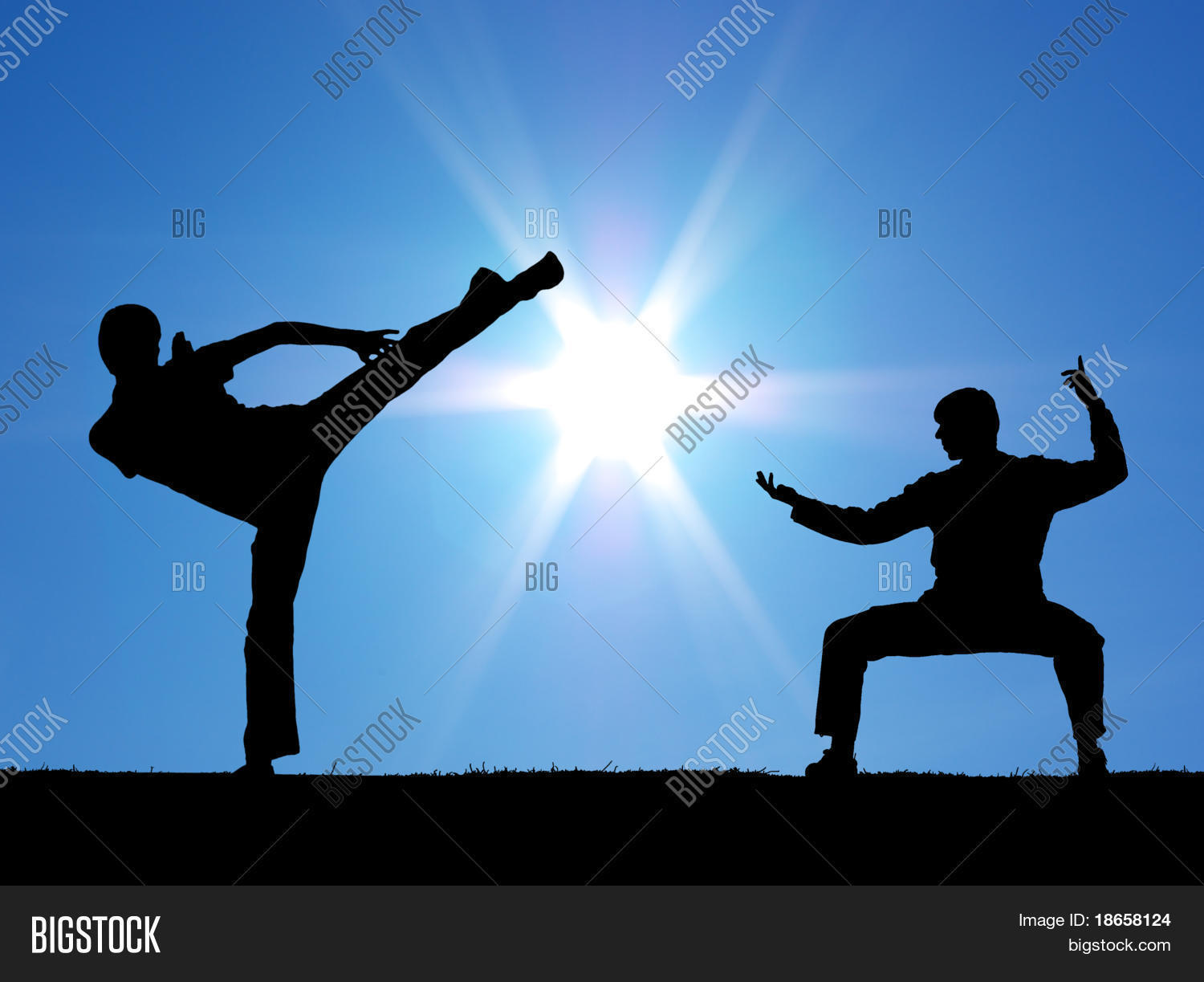 Two Warrior Image & Photo (Free Trial) | Bigstock