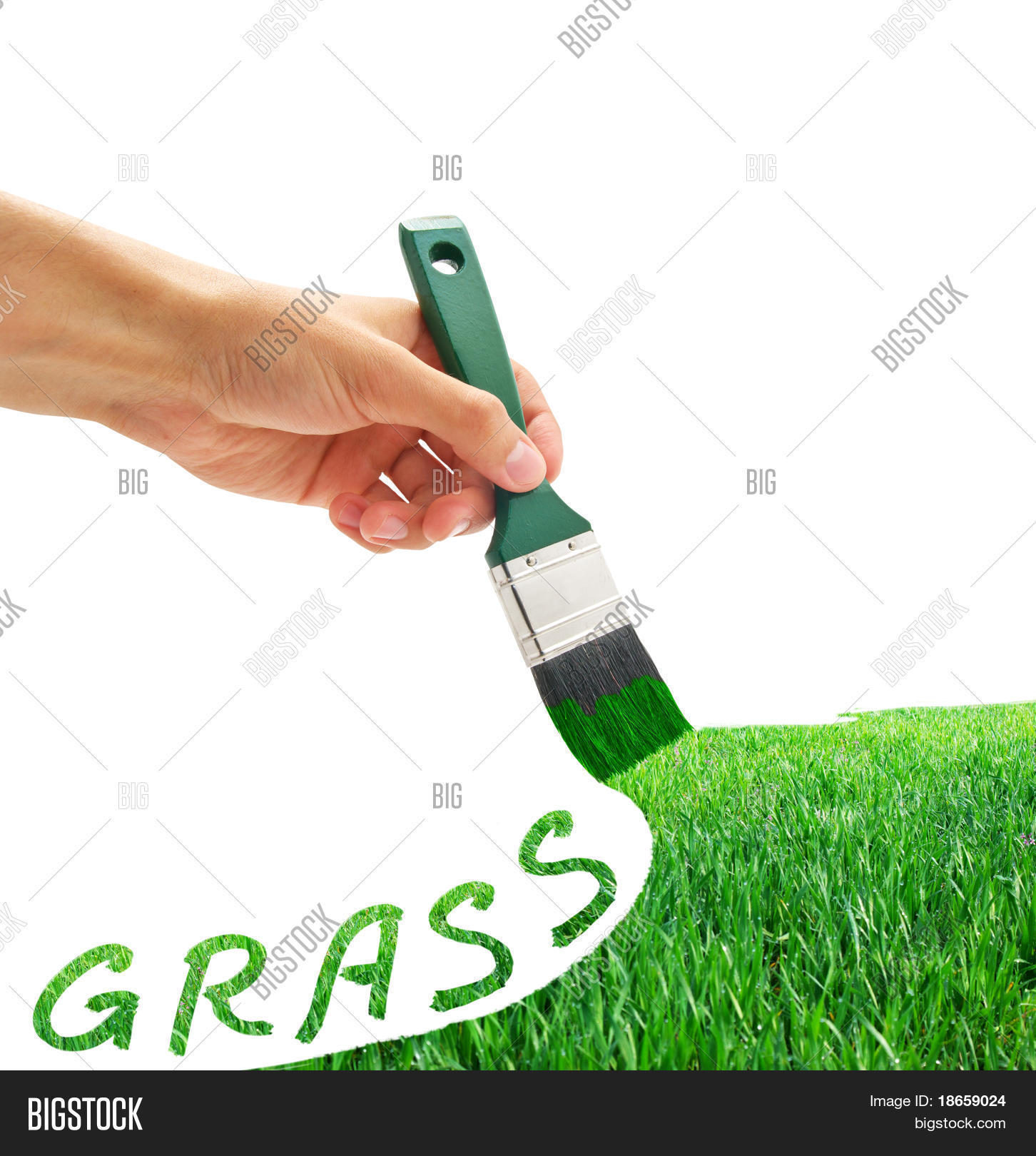Drawing Green Grass. Image & Photo (Free Trial) | Bigstock